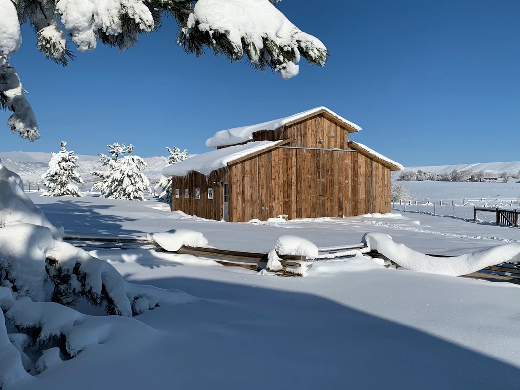 Colorado Wood & Metal - Live Edge Tables - Wood Mantels
